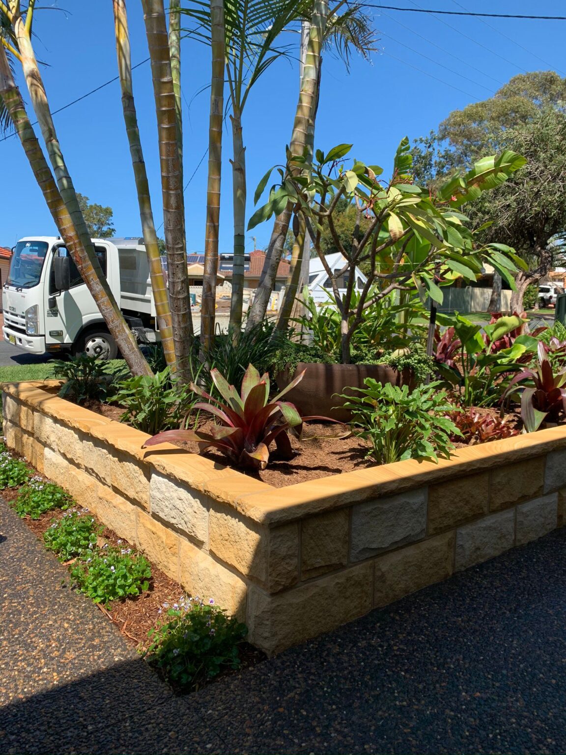Landscaping Gallery | Sutherland Shire's Stunning Outdoor Transformations